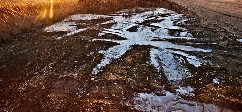 SEA ICE - FUTURE SEAFARER