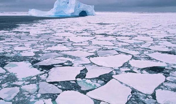 SEA ICE